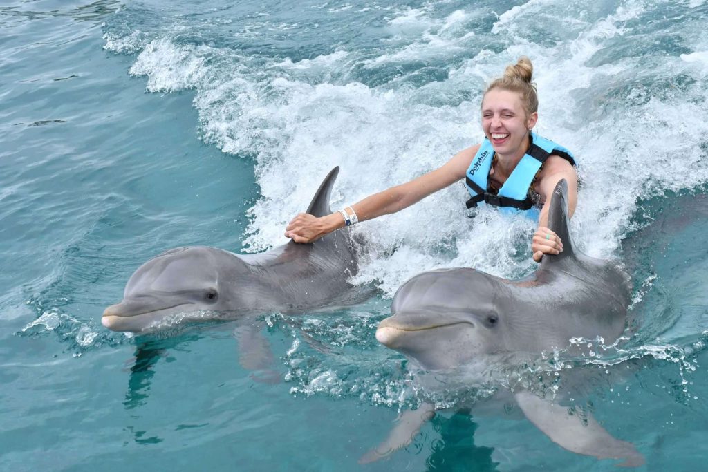 Making Dreams Come True: How Dolphin Discovery Cozumel Creates Lasting ...